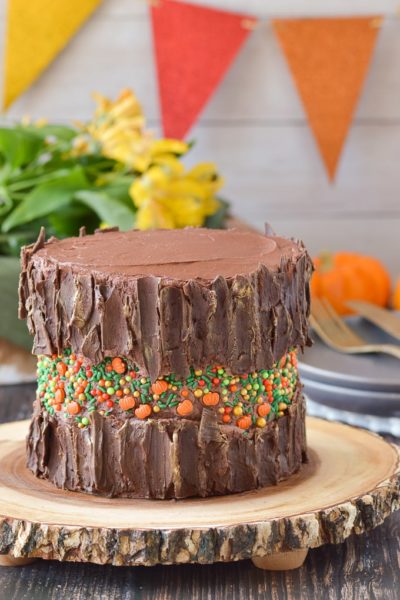 How to Frost a Cake Like a Professional - Partylicious