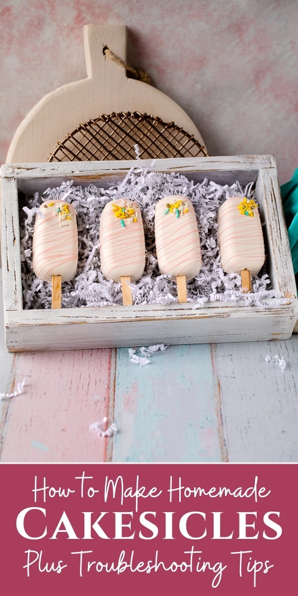 How To Make Cakesicles - Partylicious