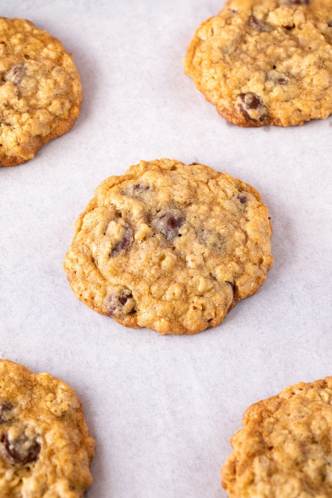 Oatmeal Walnut Chocolate Chip Cookies - Partylicious
